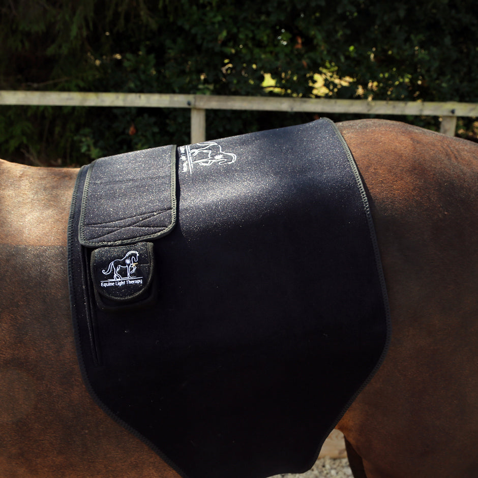 Infra Red LED Equine Therapy Pads – Equine Light Therapy